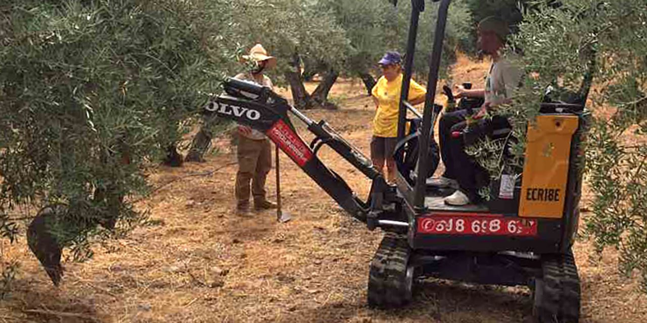 EMPRESAS | Finca San José, pionera en la instalación de un nuevo ... EMPRESAS | Finca San José, pionera en la instalación de un nuevo ...